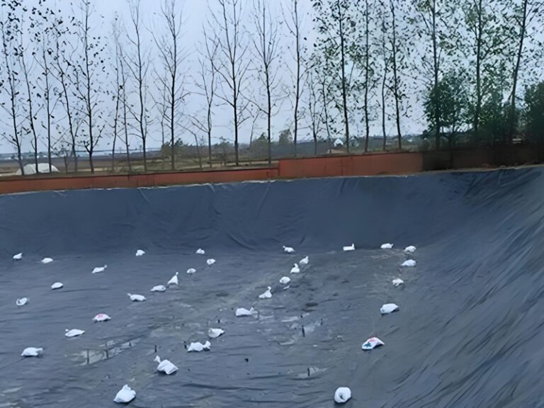 Impermeable Geomembrane Liner - hdpe Geomembrane