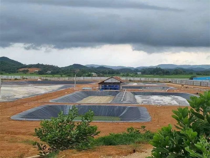 Geomembrane Leading Geomembrane Manufacturers Factory Geomembrane Leading Geomembrane Manufacturers Factory